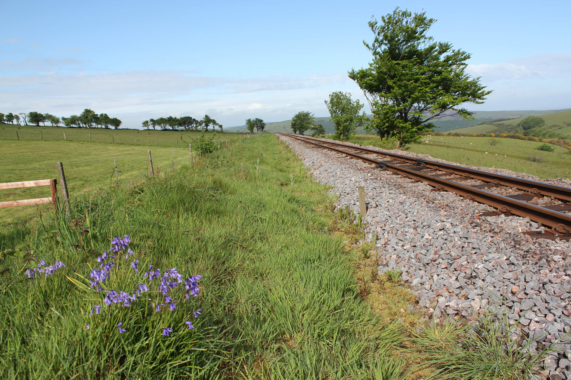 The Lynton & Barnstaple Railway - Environment