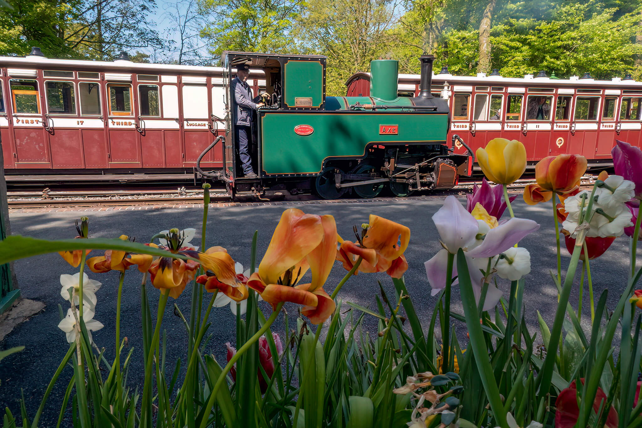 Floral displays bring a welcome splash of colour at Woody Bay